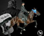 Racking Horse Breeders Association